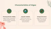 Biology Subject For High School Algae And Fungi PowerPoint