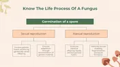 Biology Subject For High School Algae And Fungi PowerPoint