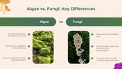Biology Subject For High School Algae And Fungi PowerPoint