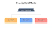 Organizational Matrix PowerPoint And Canva Template