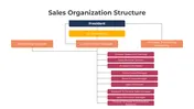 Sales Organization Structure PPT And Canva Templates