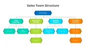 Sales Team Structure PowerPoint And Canva Template
