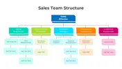 Sales Team Structure PowerPoint And Canva Template