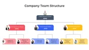 Use This Company Team Structure PPT And Canva Templates