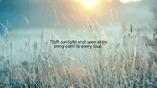 Light Nature Background PowerPoint And Canva Template