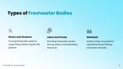 Use This Freshwater Ecosystems PPT And Canva Template