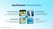 Use This Freshwater Ecosystems PPT And Canva Template