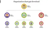 Circular Organizational Chart PPT Template & Google Slides