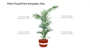 Green Colored Plant Presentation and Google Slides Templates