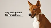 Get this Pet PowerPoint and Google Slides Templates