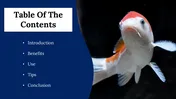 Fish PPT Template And Google Slides Templates