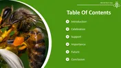 World Bee Day PowerPoint And Google Slides Templates