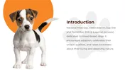 Download National Mutt Day PPT And Google Slides Themes