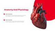 Download Cardiology Presentation And Google Slides Themes