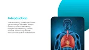 Discover Respiratory System Presentation And Google Slides