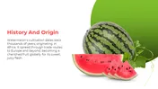 National Watermelon Day Google Slides And Canva Templates