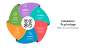 Consumer Psychology PowerPoint And Canva Templates