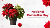 National Poinsettia Day PowerPoint And Canva Template