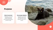 Attractive National Black Cat Day PPT And Canva Presentation