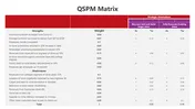 Download This Qspm Matrix PowerPoint And Google Slides