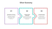 Explore This Silver Economy PowerPoint Presentation
