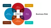 Information About Business Risks PowerPoint Presentation