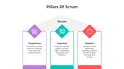 Download This Pillars of SCRUM PowerPoint Presentation