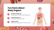 Biology Subject For Pre K Body Organs Presentation