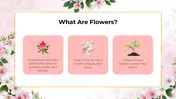 Biology Subject For Pre K Flowers And Pollination PPT
