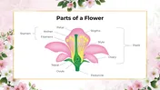 Biology Subject For Pre K Flowers and Pollination PPT
