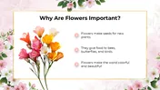 Biology Subject For Pre K Flowers And Pollination PPT