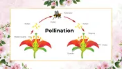 Biology Subject For Pre K Flowers And Pollination PPT