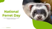 Download This National Ferret Day PowerPoint Presentation