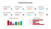Informative Project Summary PowerPoint Presentation