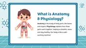 Anatomy Physiology Lesson For Elementary Presentation
