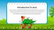 Ants Nests Lesson for Middle School PPT And Google Slides