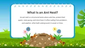 Ants Nests Lesson for Middle School PPT And Google Slides