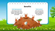 Ants Nests Lesson for Middle School PPT And Google Slides