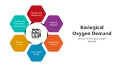 The Biological Oxygen Demand PowerPoint Presentation