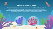 Biology Subject For Middle School Coral Reef Google Slide