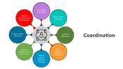 Download This Coordination PowerPoint Presentation