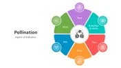 Download This Pollination PowerPoint Presentation