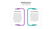 Download This Pollination PowerPoint Presentation