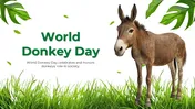 Explore This World Donkey Day PowerPoint Presentation