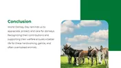 Explore This World Donkey Day PowerPoint Presentation