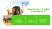 National Endangered Species Day PowerPoint Presentation