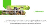 National Endangered Species Day PowerPoint Presentation