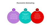 Parametric Estimating PowerPoint And Canva Template