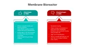 Membrane Bioreactor PowerPoint And Canva Template