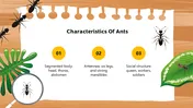 Biology Subject For High School Ants Taxonomy Presentation